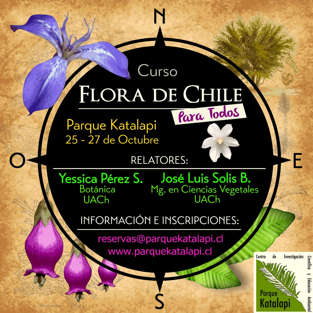 Flora of Chile for All | Parque Katalapi